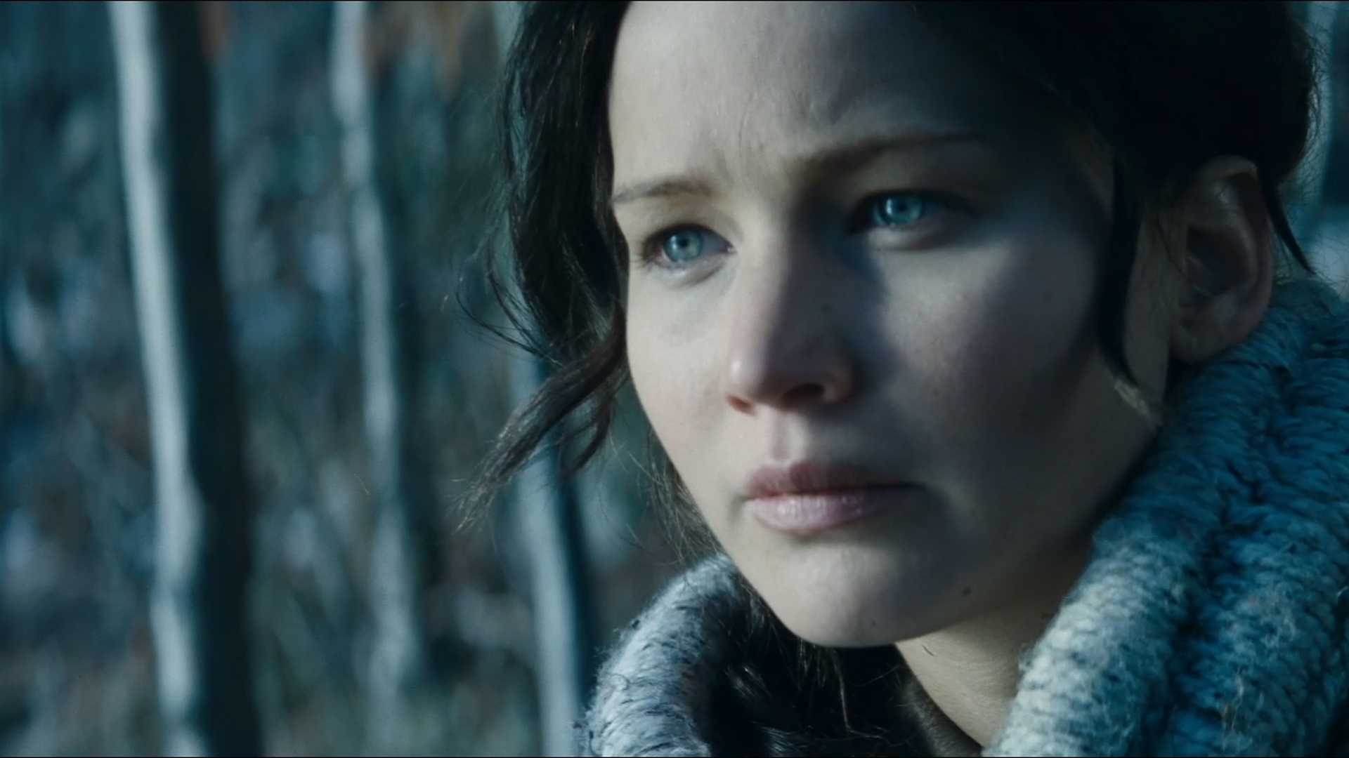 The Hunger Games: Catching Fire – Trailer Park